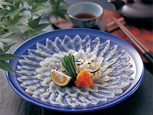 All about Aichi | COLUMN | AMAZING AICHI Japan